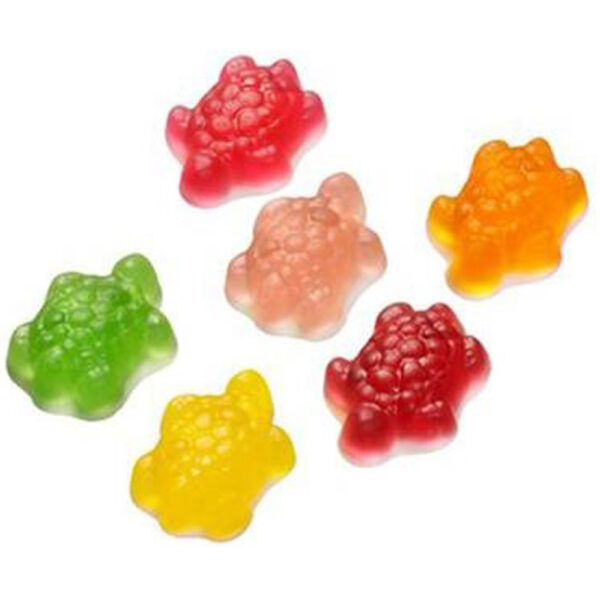 Frisia Snoepen Schildpadden 1.5kg - Snuffelstore